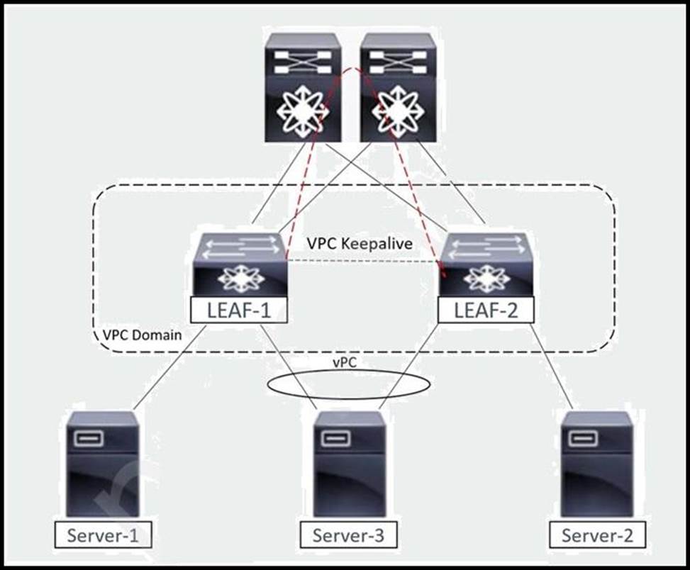 Cisco 300 615 Exam Dumps Updated V15 02 Good Learning Materials For
