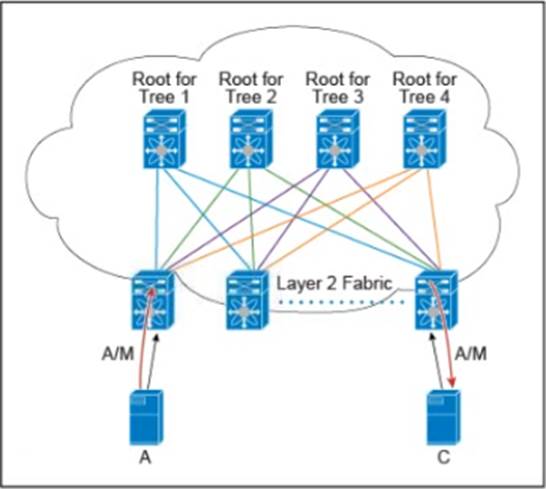 Cisco 400-007 CCDE Dumps – Latest Study Guide For Cisco Certified ... Cisco 400-007 CCDE Dumps – Latest Study Guide For Cisco Certified ...